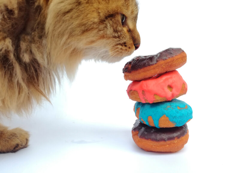 Can Cats Eat Donuts? Sweet Treats Or Health Hazards?