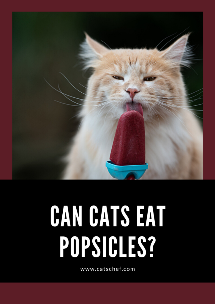 Can Cats Eat Popsicles? Is There An Alternative?
