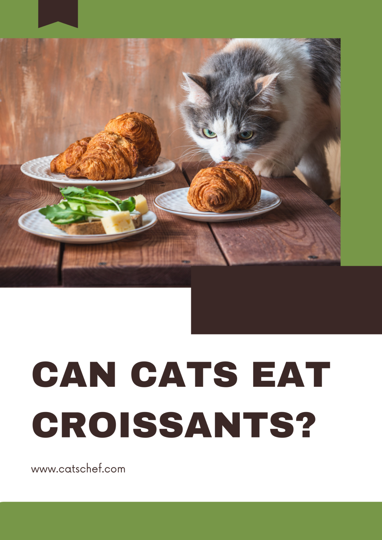 Can Cats Eat Croissants? Is This What Your Cat Wants?