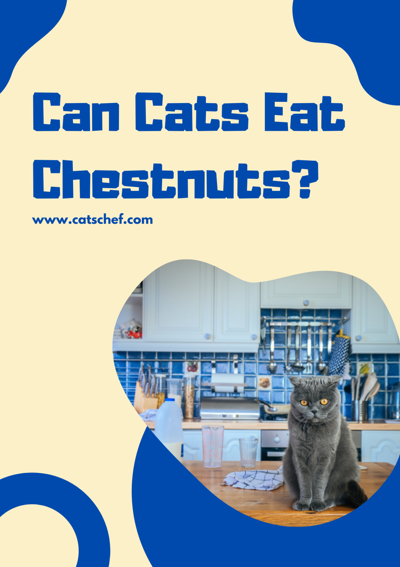 Can Cats Eat Chestnuts? Are They Nuts About This Tasty Treat?