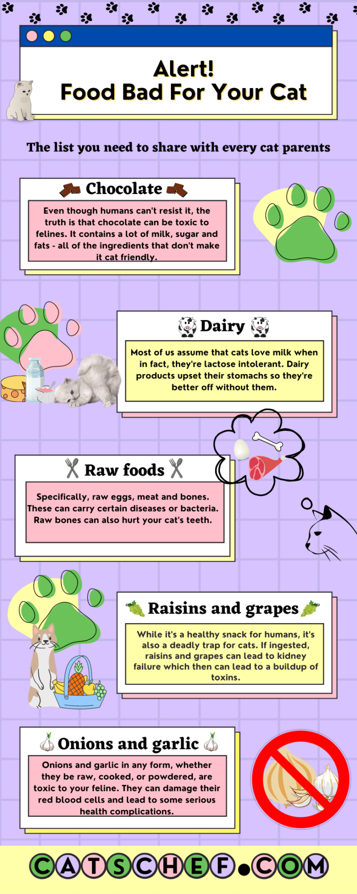 Can Cats Eat Takis? Are There Any Risks?