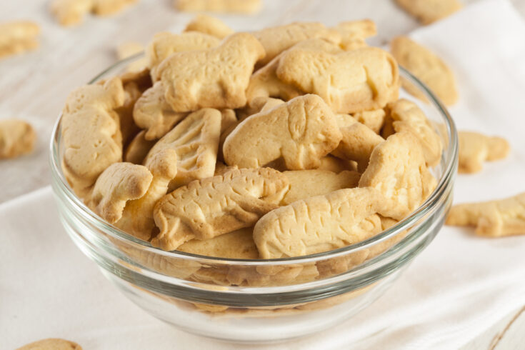 Can Cats Eat Crackers? Crack The Code And Find Out!