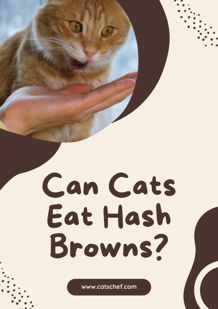 Can Cats Eat Hash Browns? Will It Pack On The Pounds?