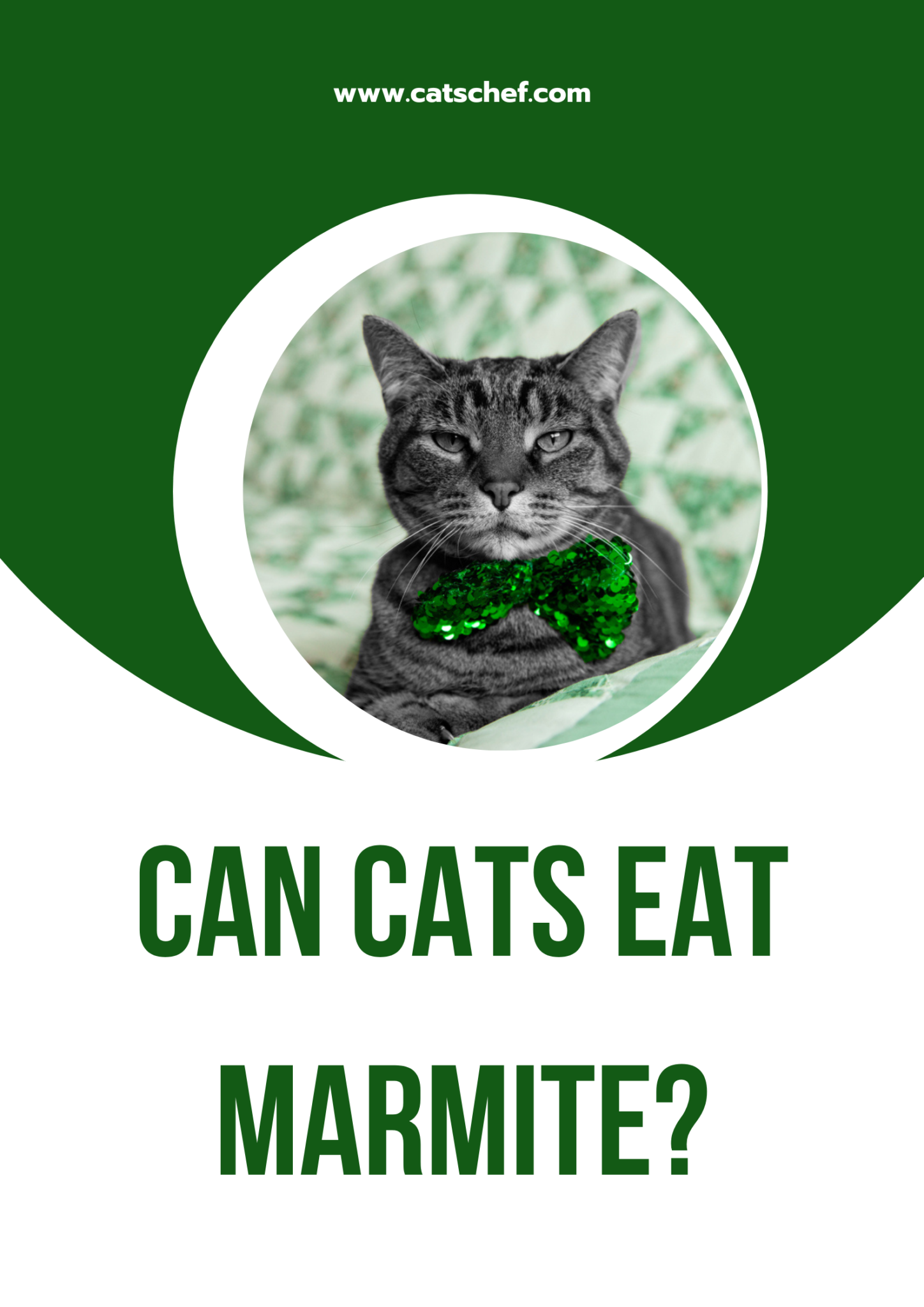 Can Cats Eat Marmite? Feed It Or Leave It?