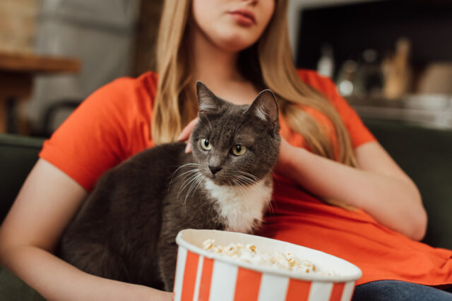Can Cats Eat Popcorn? Is It Safe To Pop That Corn Or Not?