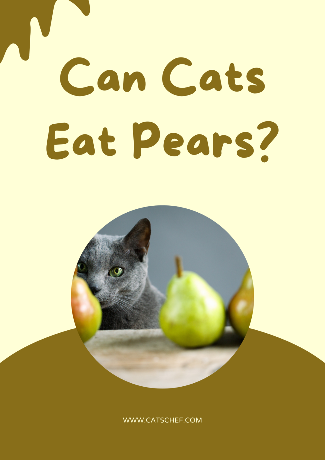 Can Cats Eat Pears? Do These Two Make A Great "Pear?"
