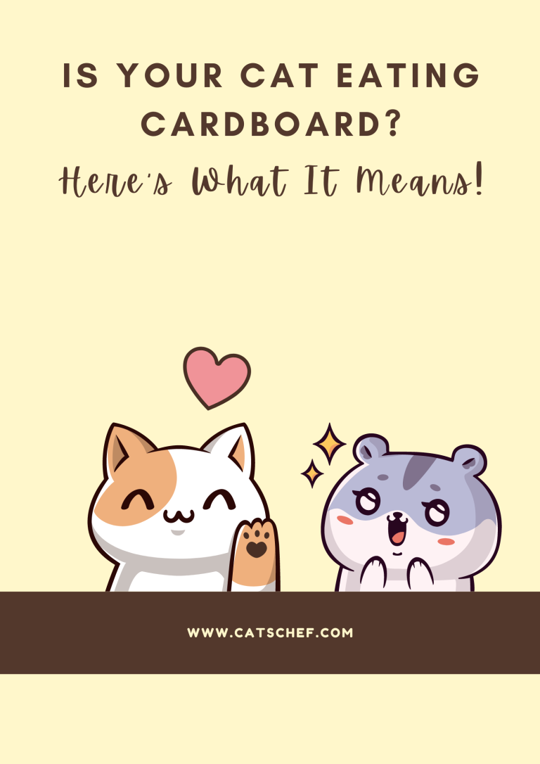 Is Your Cat Eating Cardboard? Here's What It Means!