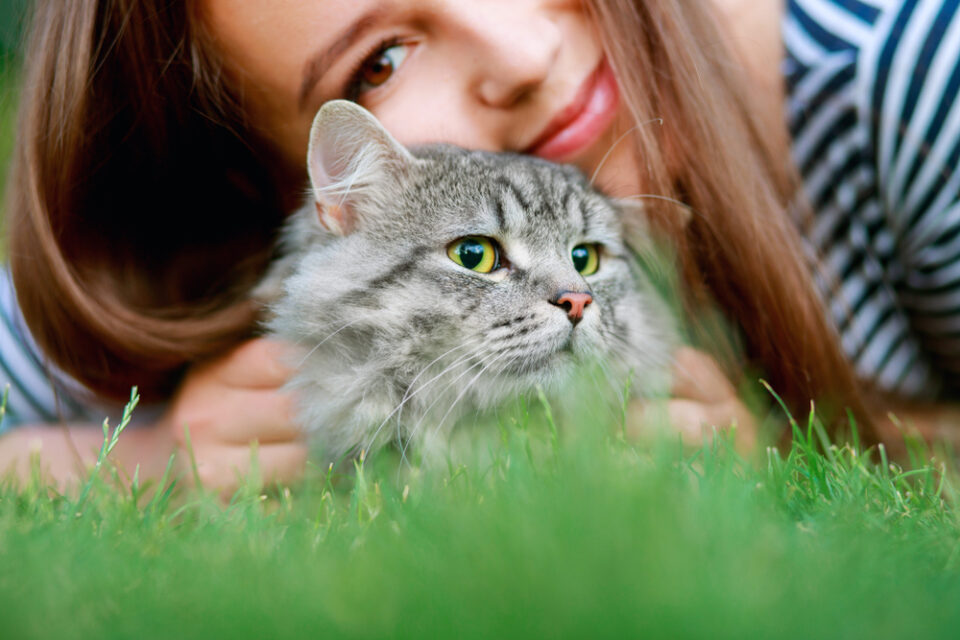 Why Does My Cat Sniff My Eye? What Does She Spy?