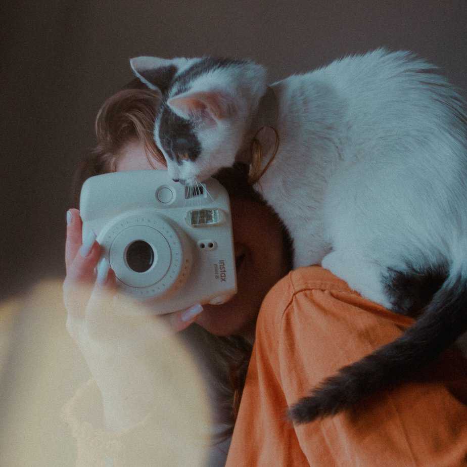 I Need Answers: Why Does My Cat Jump On My Back?