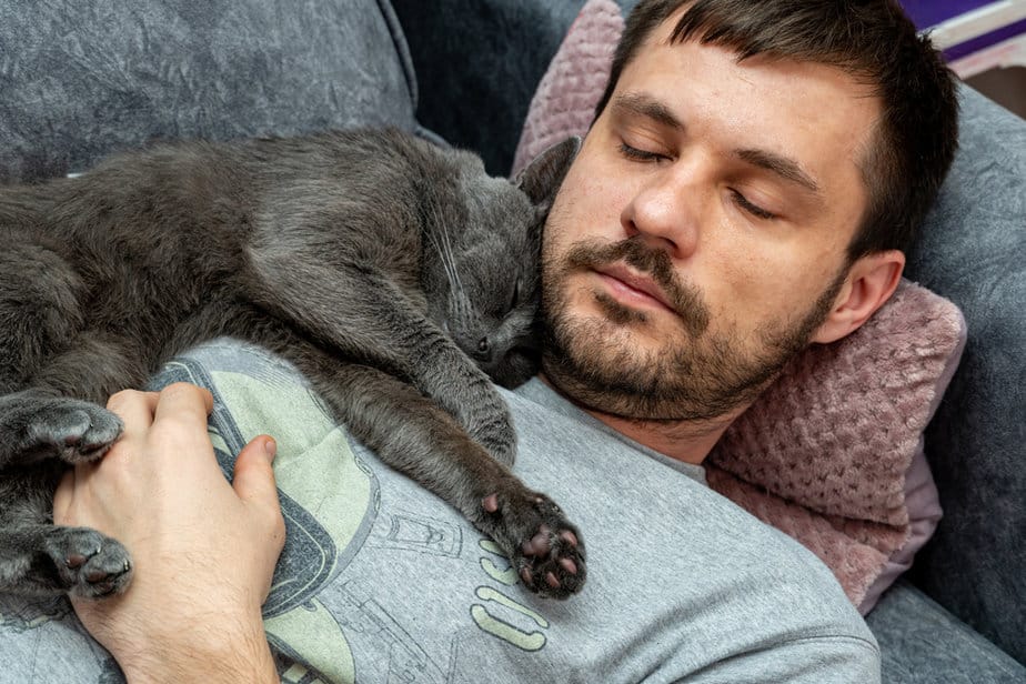 10 Sweet Reasons Why Your Cat Loves Sleeping On Your Chest