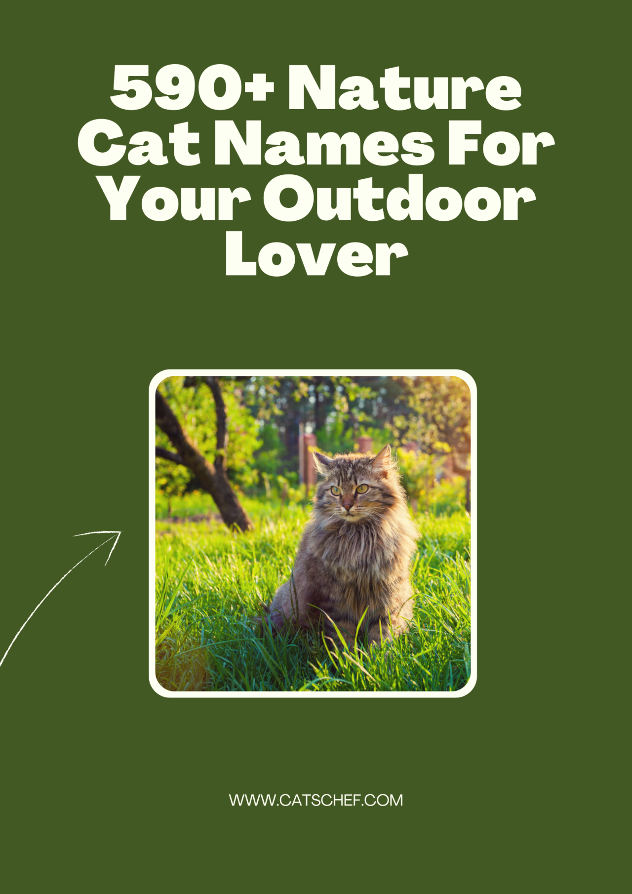 590+ Nature Cat Names For Your Outdoor Lover
