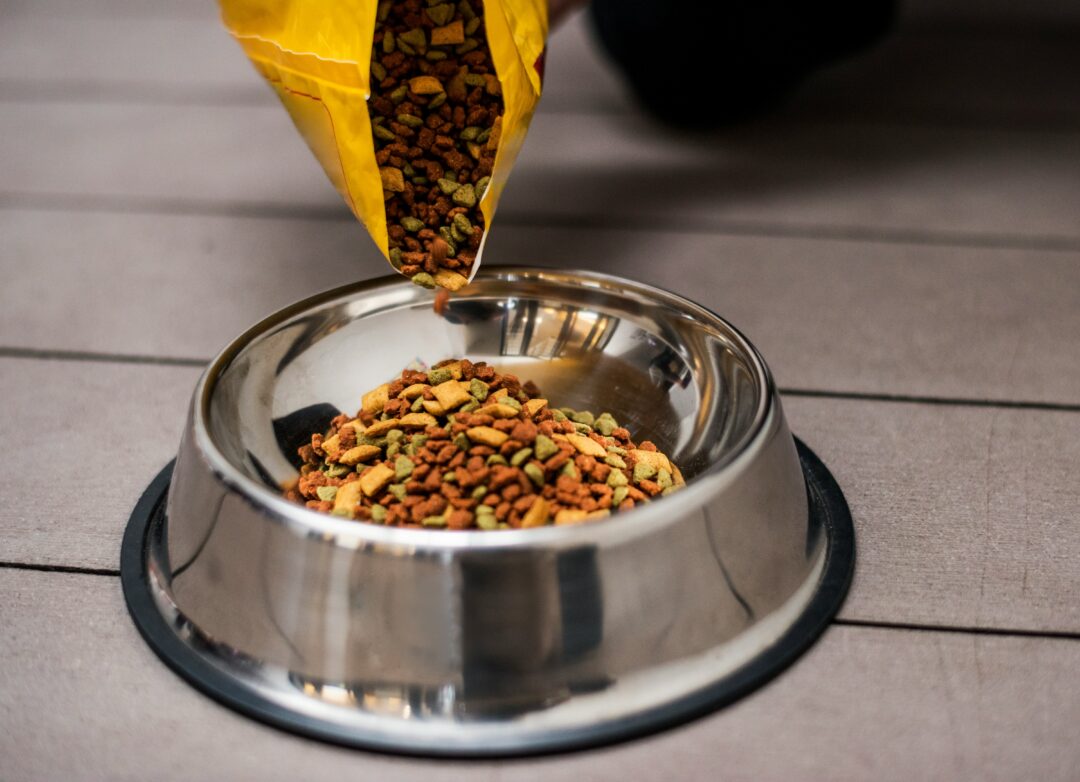 10 Tips And Tricks To Soften Dry Cat Food That Work