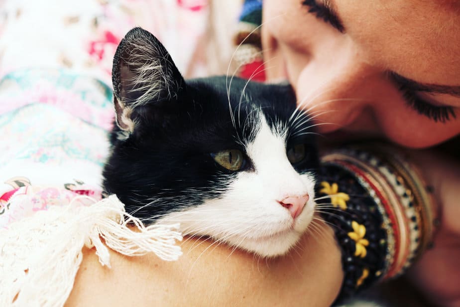 230+ Hippie Cat Names For Your Free-Spirited Fluff