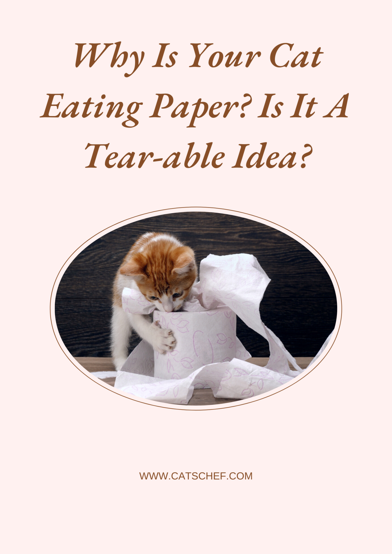 Why Is Your Cat Eating Paper? Is It A Tear-able Idea?