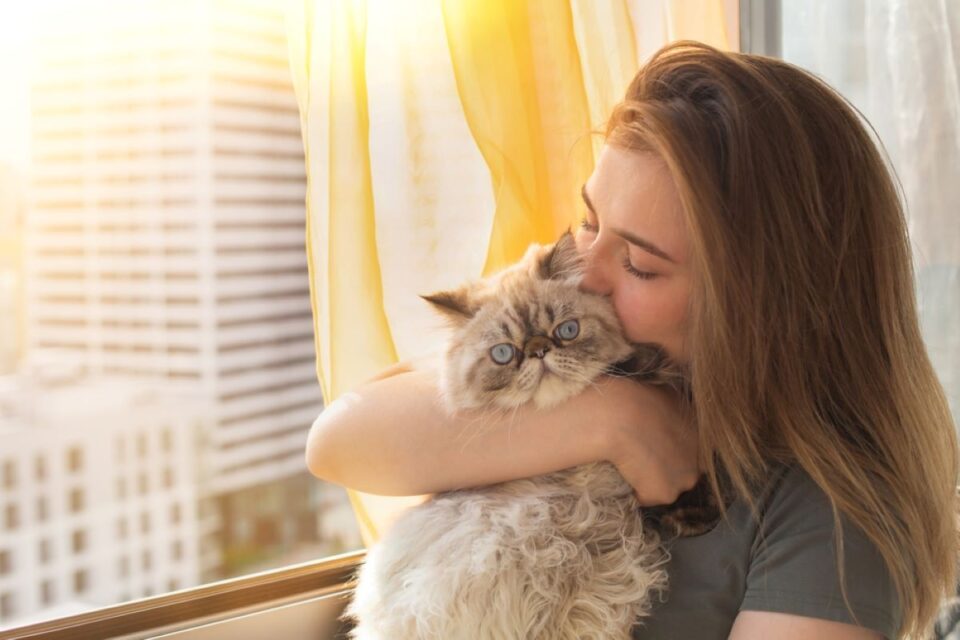 15 Loyal Cats That Will Be Your Constant Companion, No Matter What