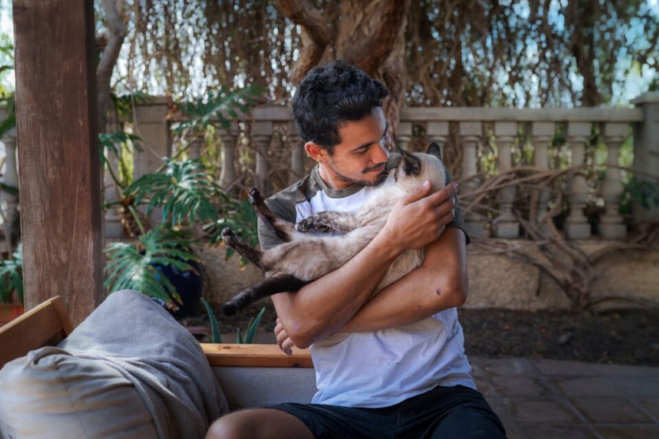 15 Loyal Cats That Will Be Your Constant Companion, No Matter What