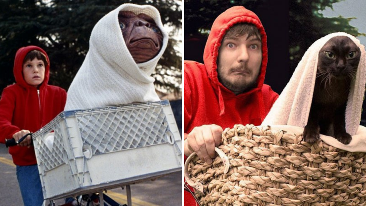 Guy Recreates Famous Movie Scenes With His Cat And You're Going To Love ...