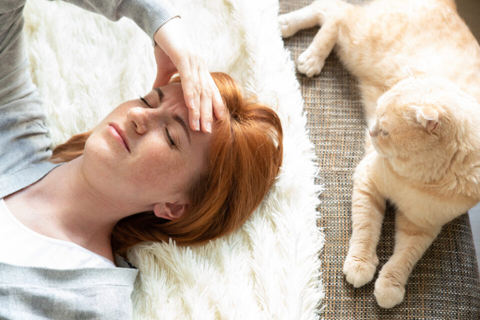 Is Vicks Safe For Cats? Should You Use It Near Your Fluff?