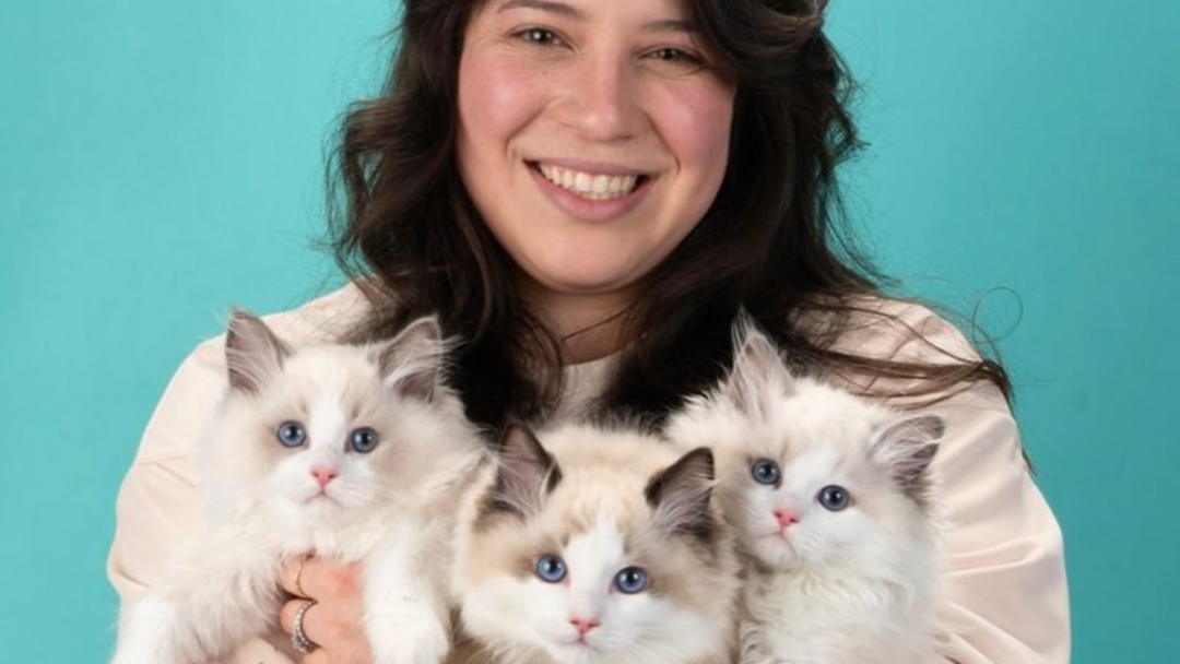 16 Quiet Cat Breeds That Won’t Keep You Up With Constant Meowing