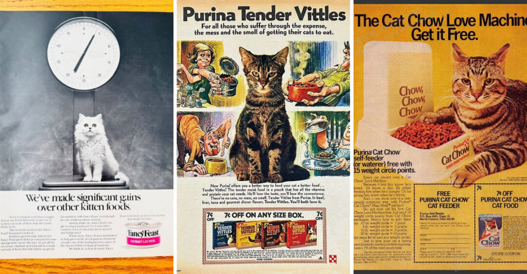 A Taste of the Past - 15 Best Nostalgic Cat Foods You’ve Forgotten ...