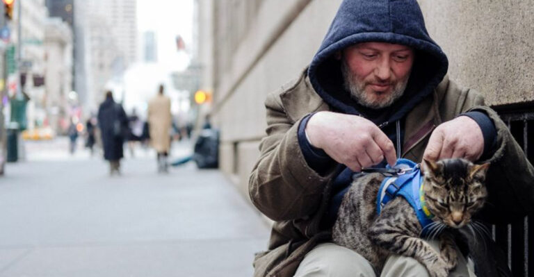 Guardian Angels on Four Paws — 15 Cats Who Saved Lives - Cats Chef