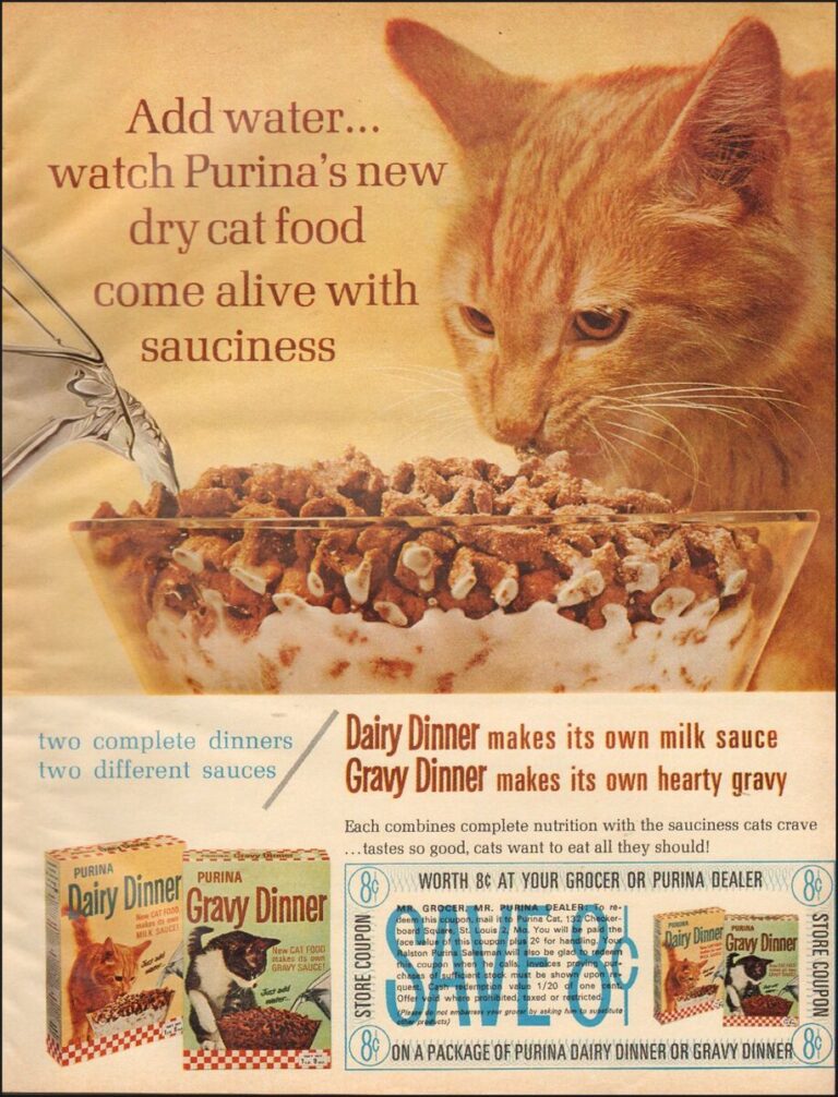 A Taste of the Past - 15 Best Nostalgic Cat Foods You’ve Forgotten ...