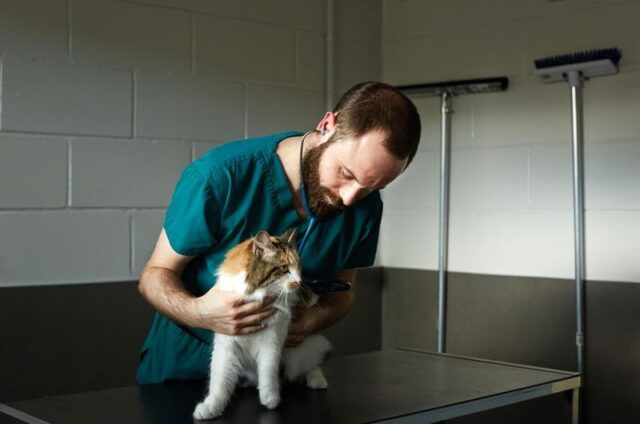 12 Major Signs You Should Start Looking for a Better Vet