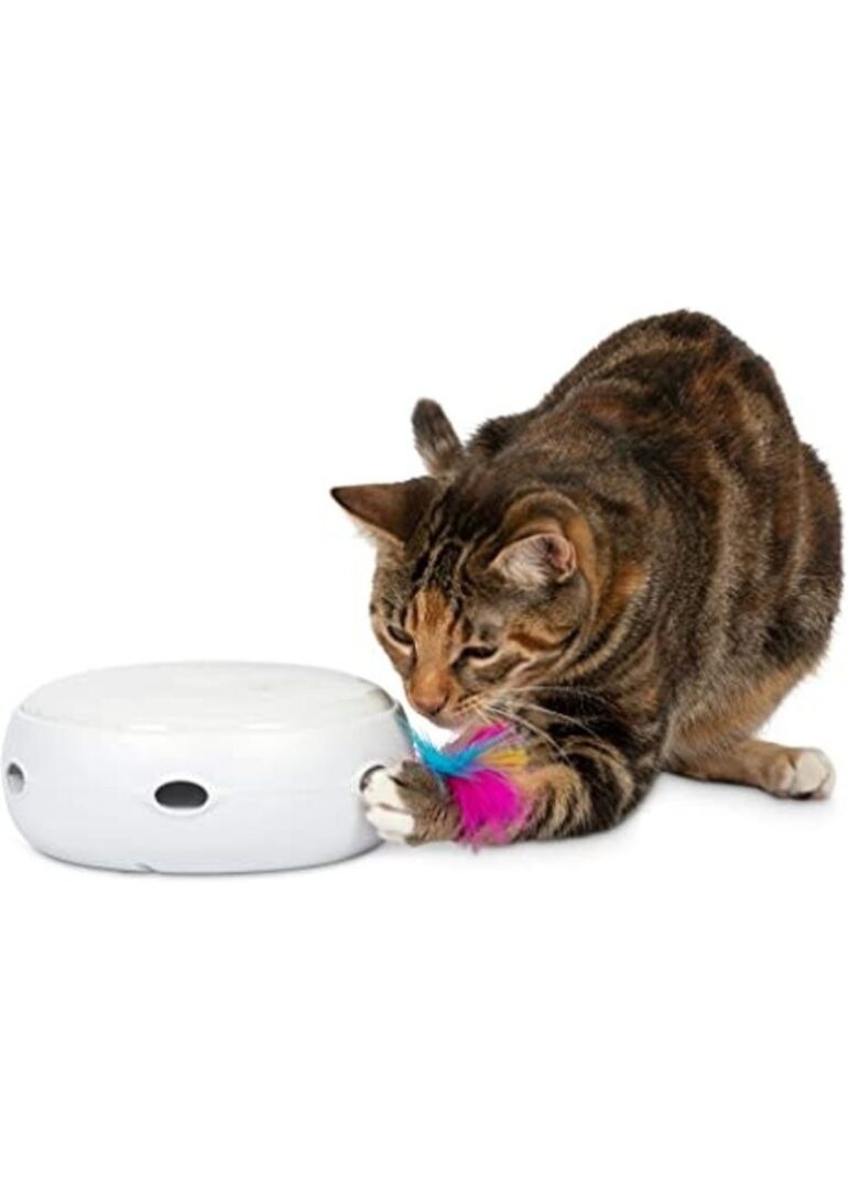 9 Smart Toys to Keep Your Cat Busy While You're Away - Cats Chef