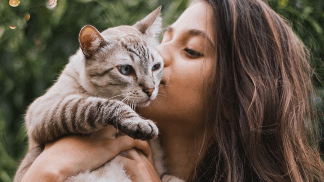 10 Signs Your Cat Is Thriving & 8 That May Signal Distress
